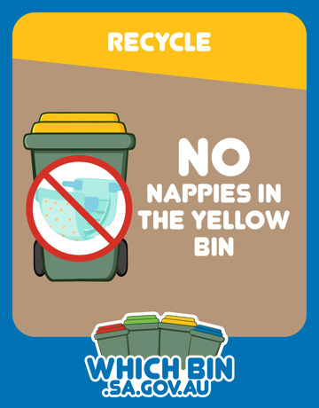 Which Bin Tips | Which Bin SA